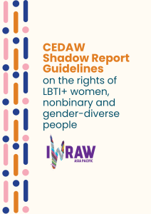 CEDAW shadow report guidelines on the rights of LBTI+ women, trans, non ...